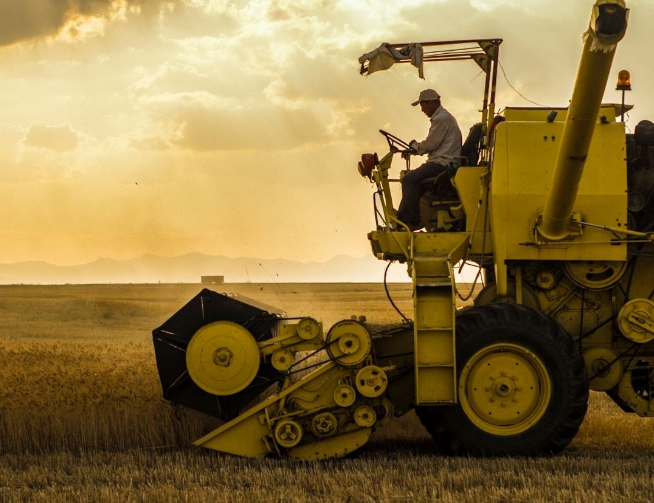 Jive PR + Digital + Provivi | Case Study